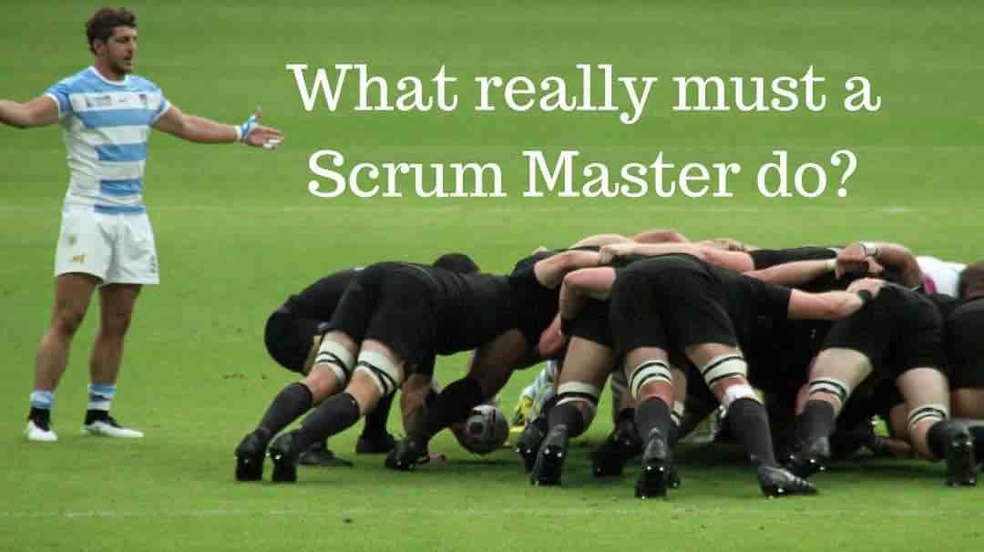 What really must a Scrum Master do?